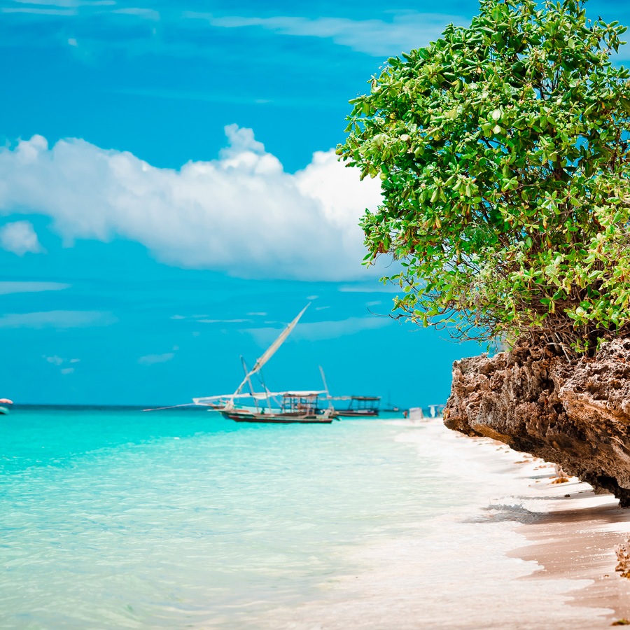 Tanzania and Indian Ocean Islands: Safari in Tanzania and Zanzibar from ...
